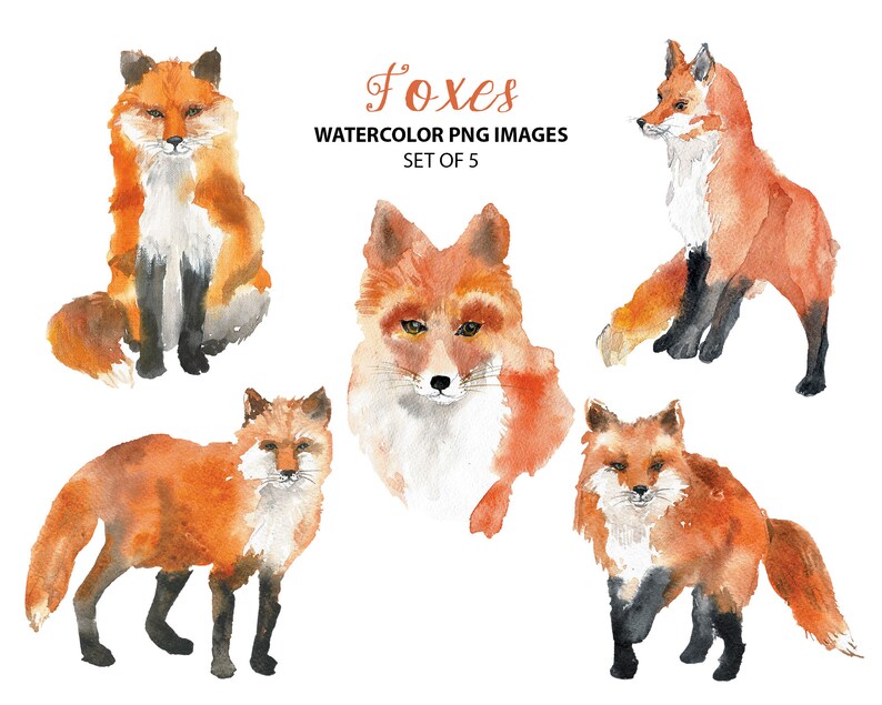 Watercolor Fox Clipart Beautiful Animal Clip Art Cute Nature Watercolor ...