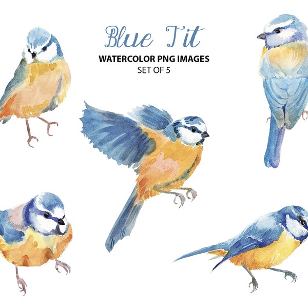 Bird Watercolor - Etsy