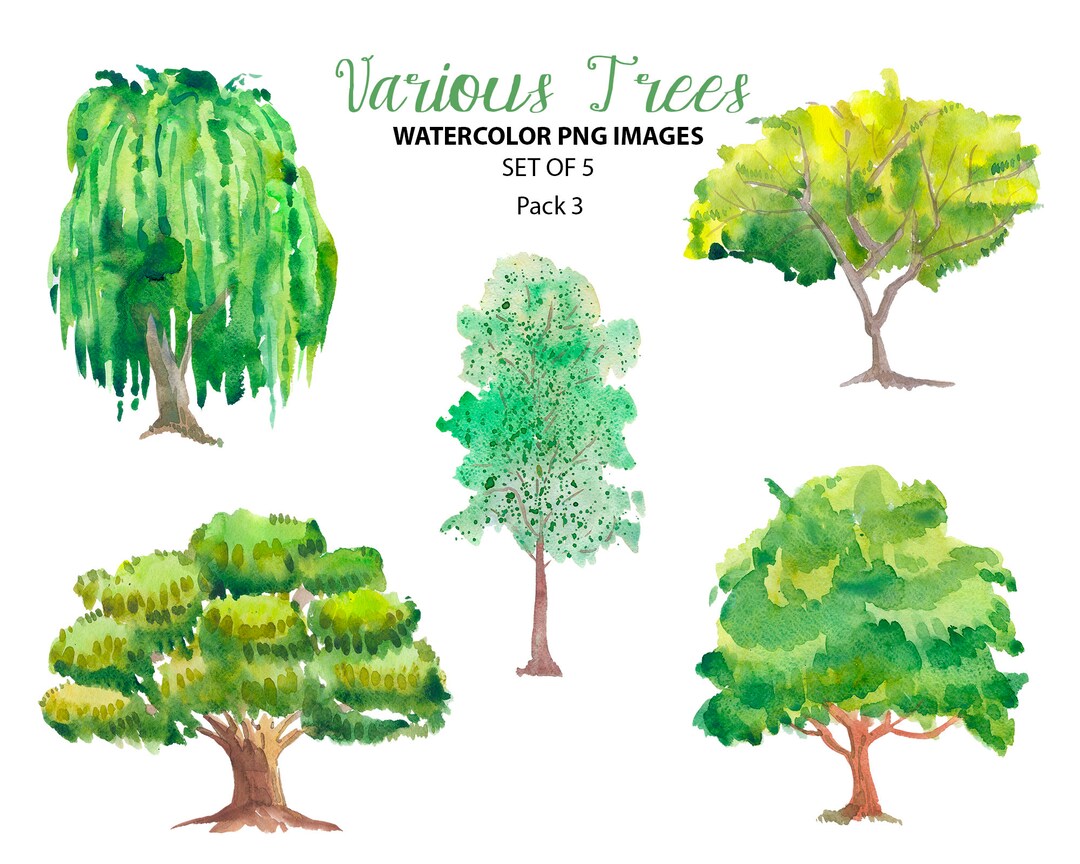 Forest Clipart Watercolor Trees Clipart Nature Clip Art - Etsy