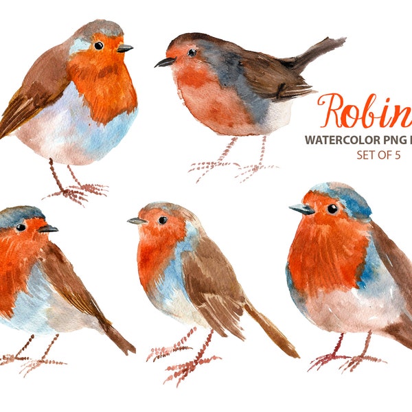 Robin Watercolor - Etsy