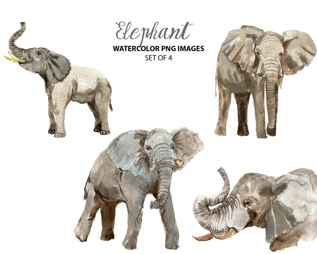 Cute Watercolor Elephant Clipart Safari Nursery Clipart Animal ...