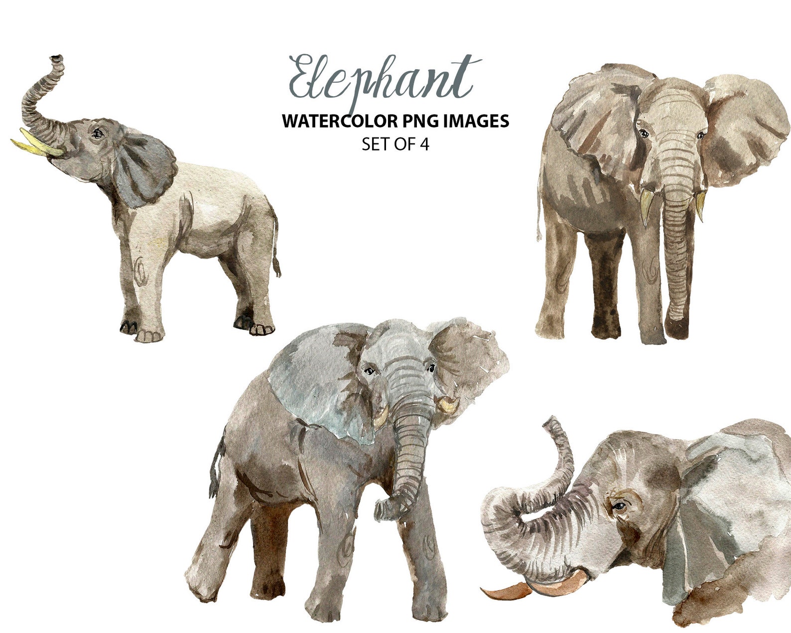 Cute Watercolor Elephant Clipart Safari Nursery Clipart Animal ...