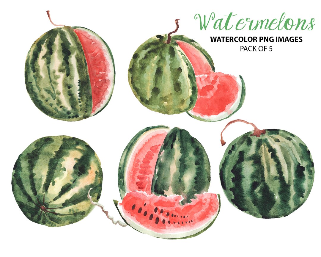 Watermelon Clipart Watercolor Fruit Clip Art Summer Food - Etsy