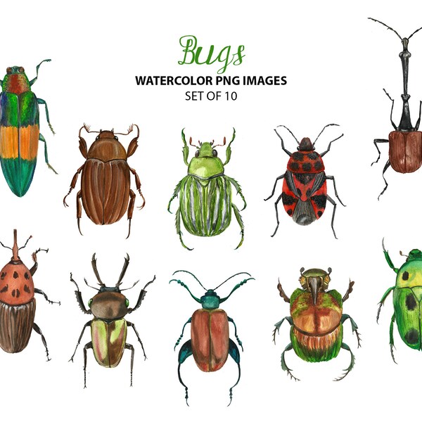 Bug Clipart - Etsy