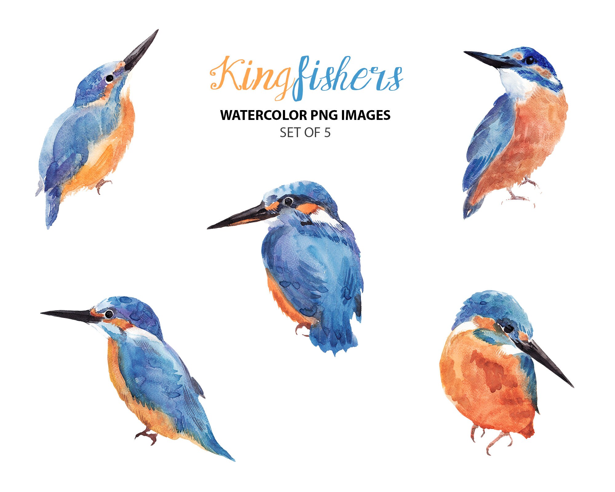 Kingfishers Clip Art Bird Clipart Watercolor Collage Images - Etsy