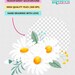 Watercolor Daisy Flower Clipart and Digital Paper, Floral Spring Art ...