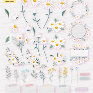Watercolor Daisy Flower Clipart and Digital Paper, Floral Spring Art ...
