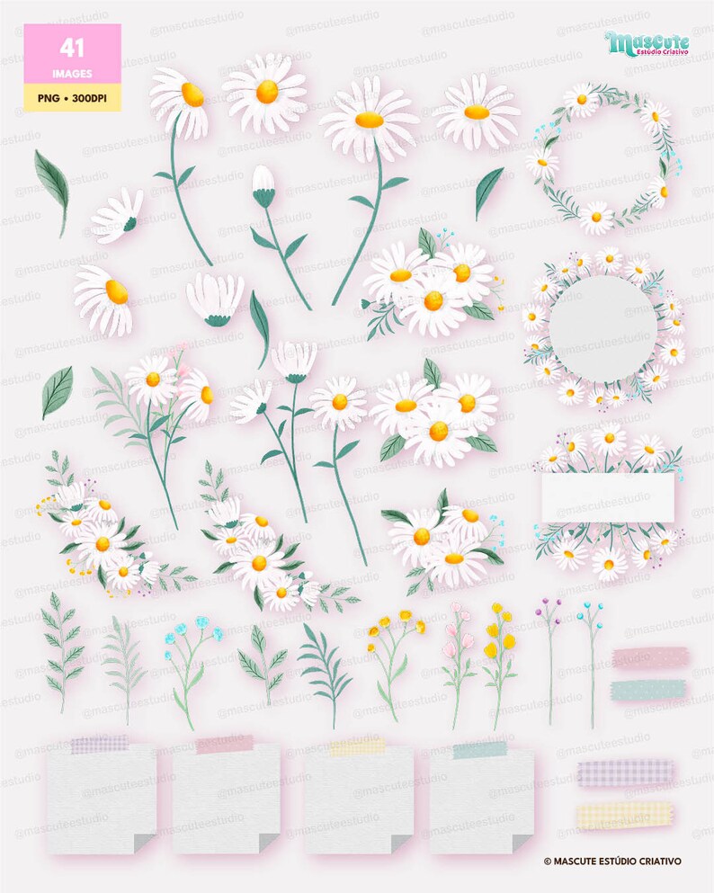 Watercolor Daisy Flower Clipart and Digital Paper, Floral Spring Art ...