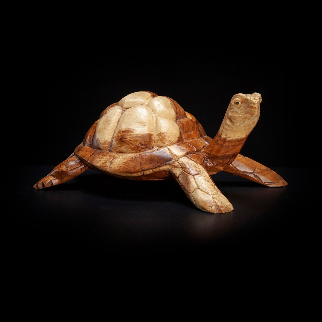 Teak Root Tortoise Carved Sculpture - Etsy