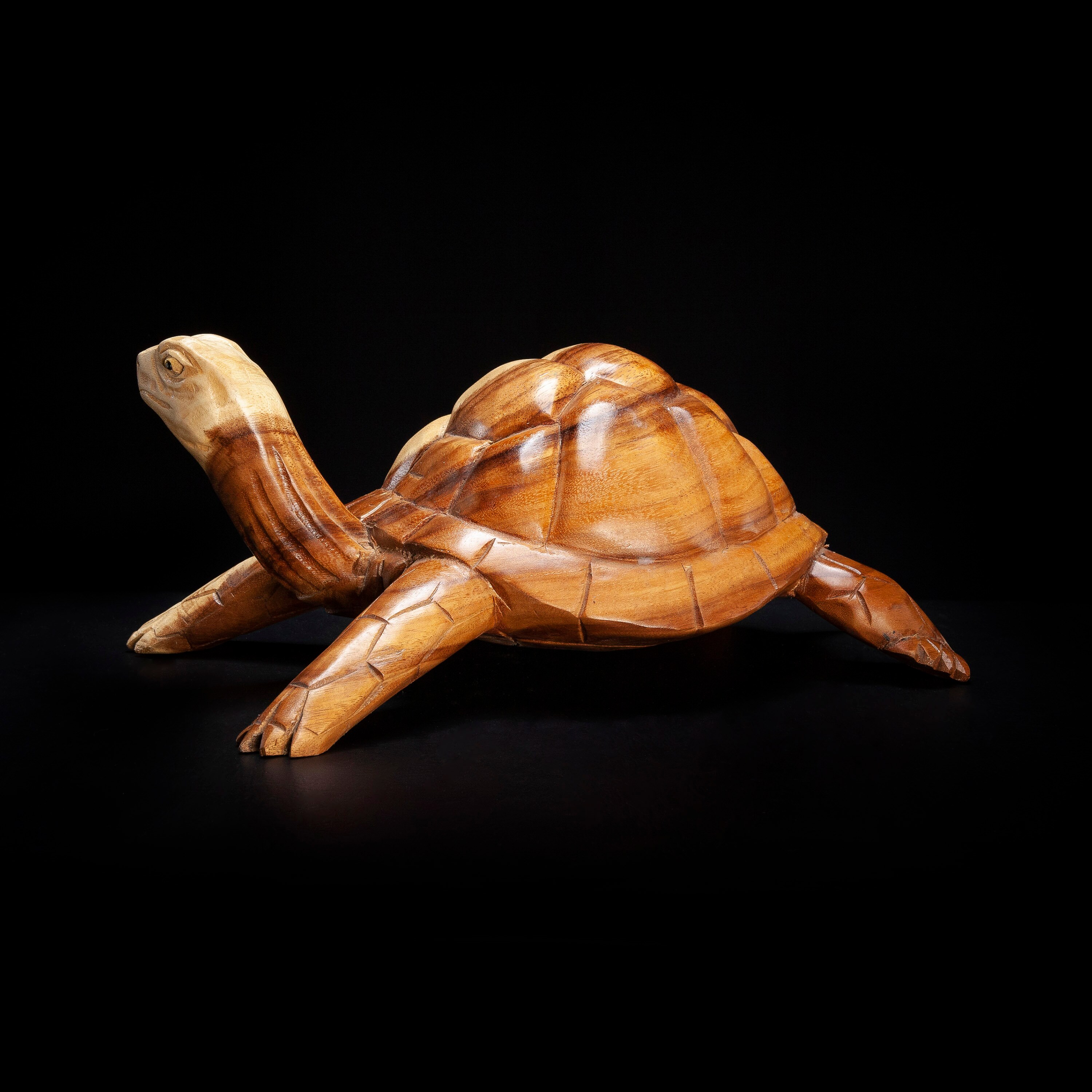 Teak Root Tortoise Carved Sculpture - Etsy