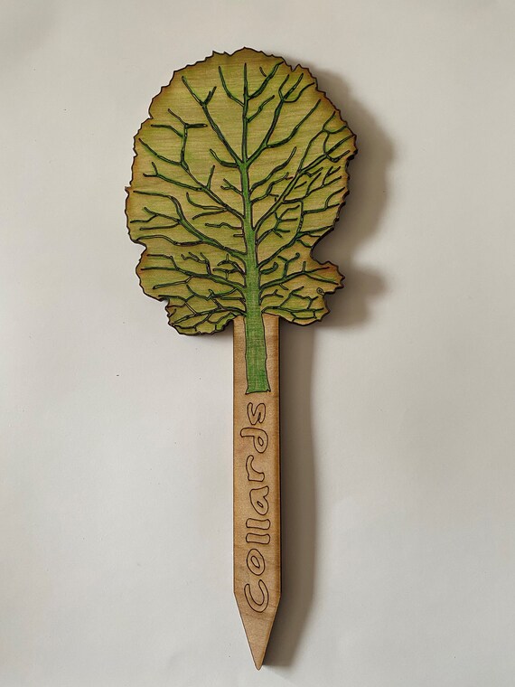 Collard Greens SVG Fruit & Vegetable SVG Plant Row Marker | Etsy