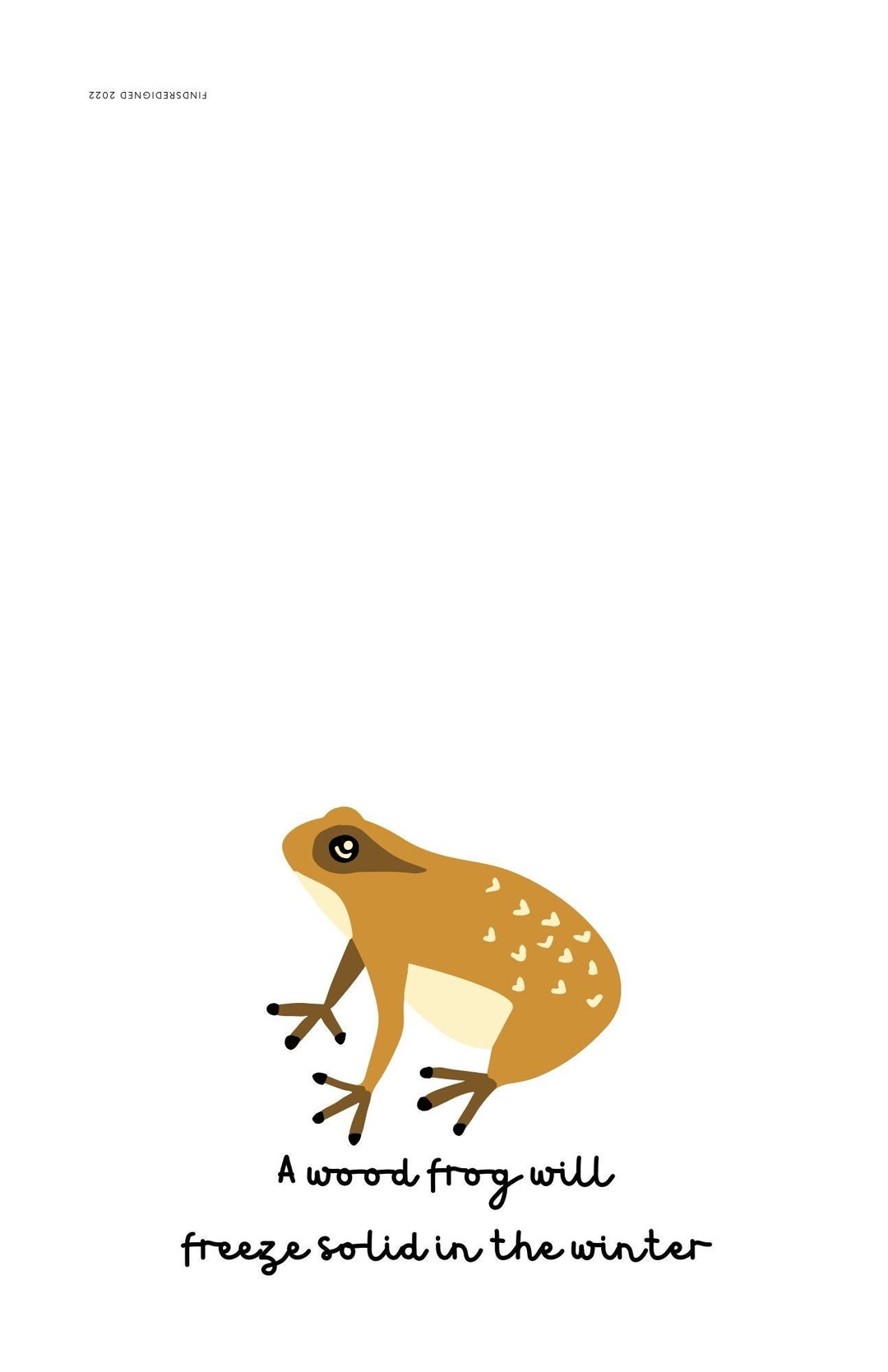 Wood Frog Sympathy Card I'm Here for You Grief Card - Etsy