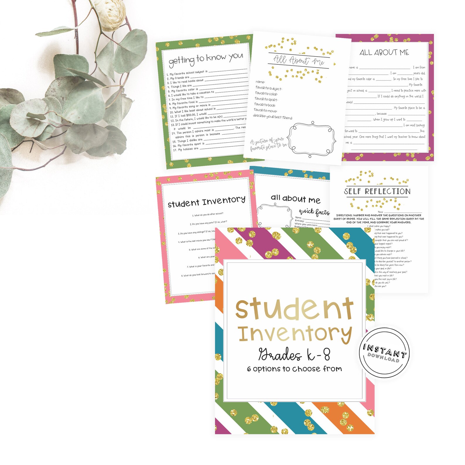 Rainbow Classroom Student Inventory Back to School - Etsy