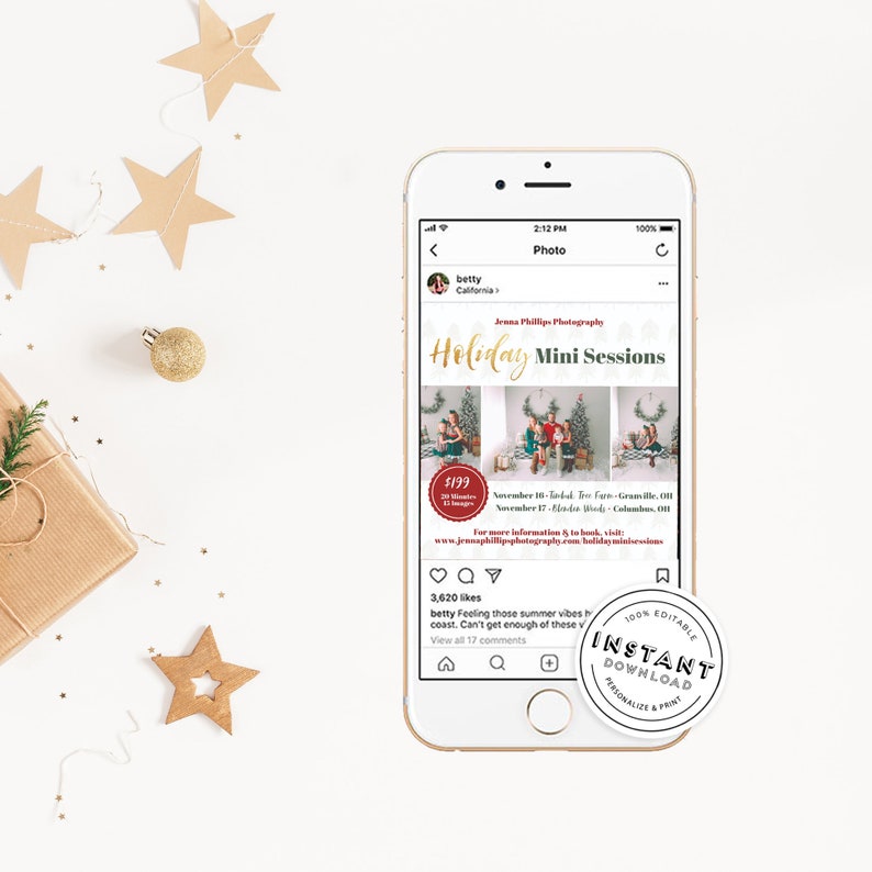 Holiday Mini Sessions Ad for Photographers | Photography Christmas Mini ...