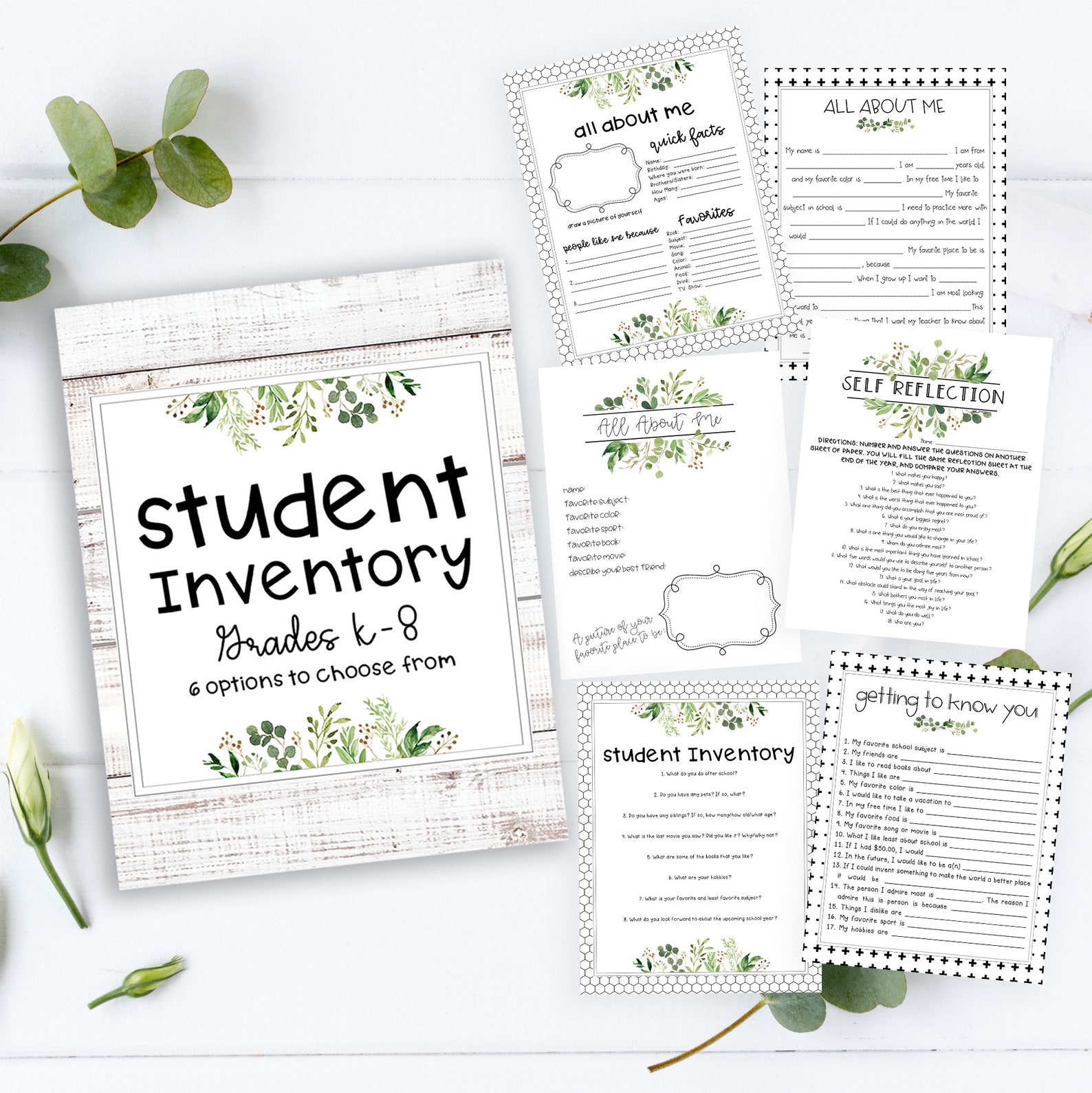 Farmhouse Classroom Student Inventory Back to School | Etsy