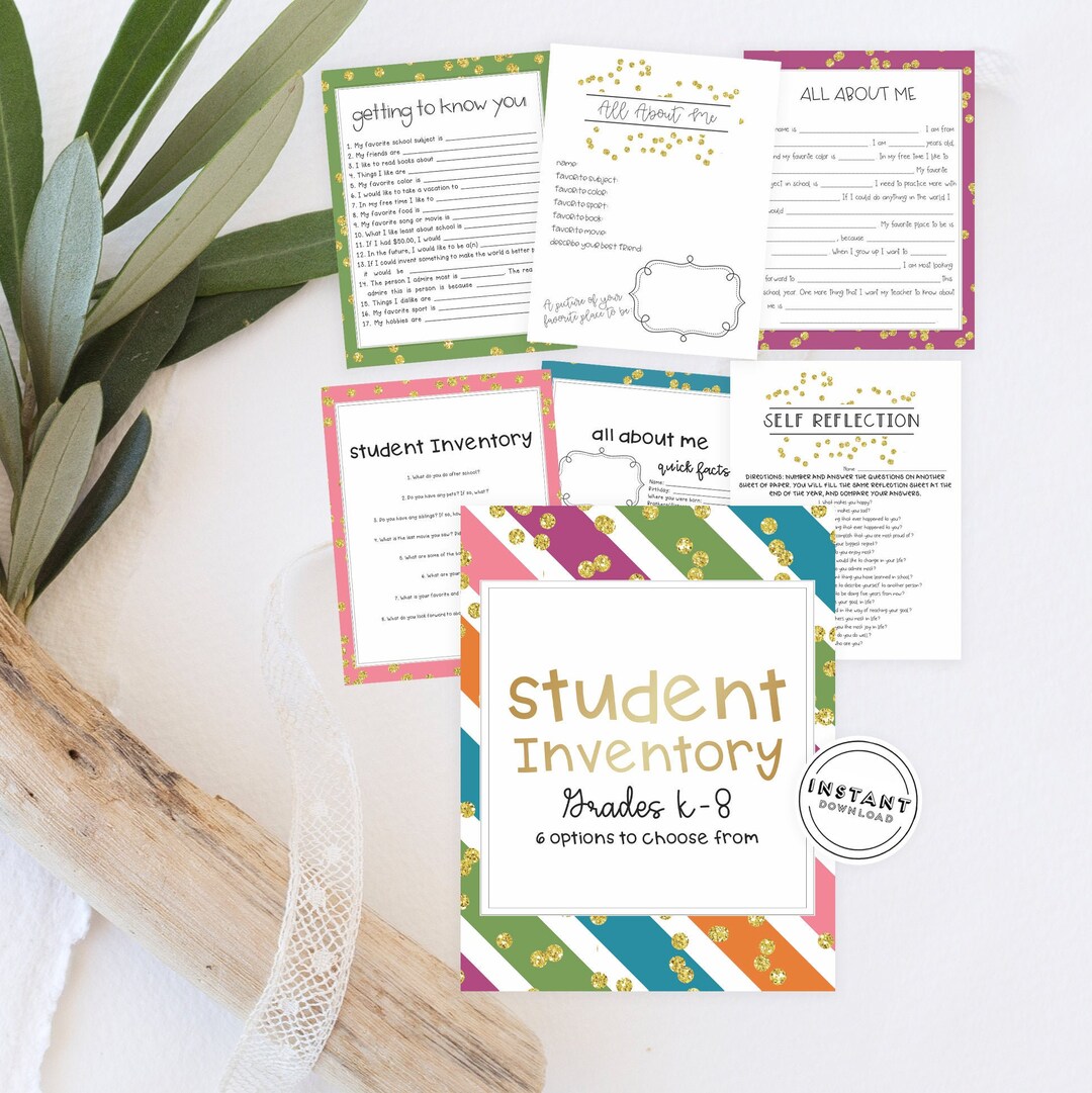 Rainbow Classroom Student Inventory Back to School Questionnaire K-8 ...