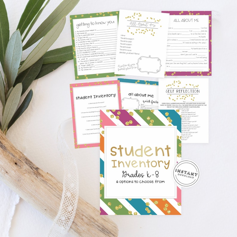 Rainbow Classroom Student Inventory Back to School - Etsy