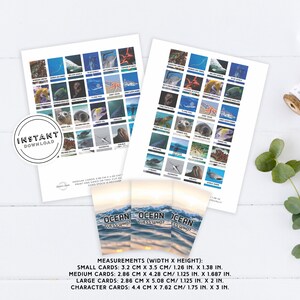 Oceans Guess Who Printable Template Gather Round Homeschool School ...