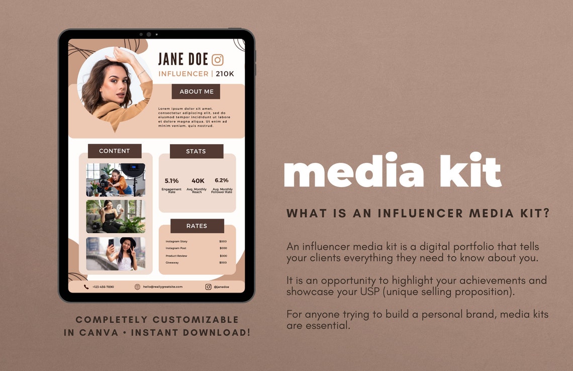 1 Page Media Kit Template, Influencer Stat Sheet, Canva Template ...