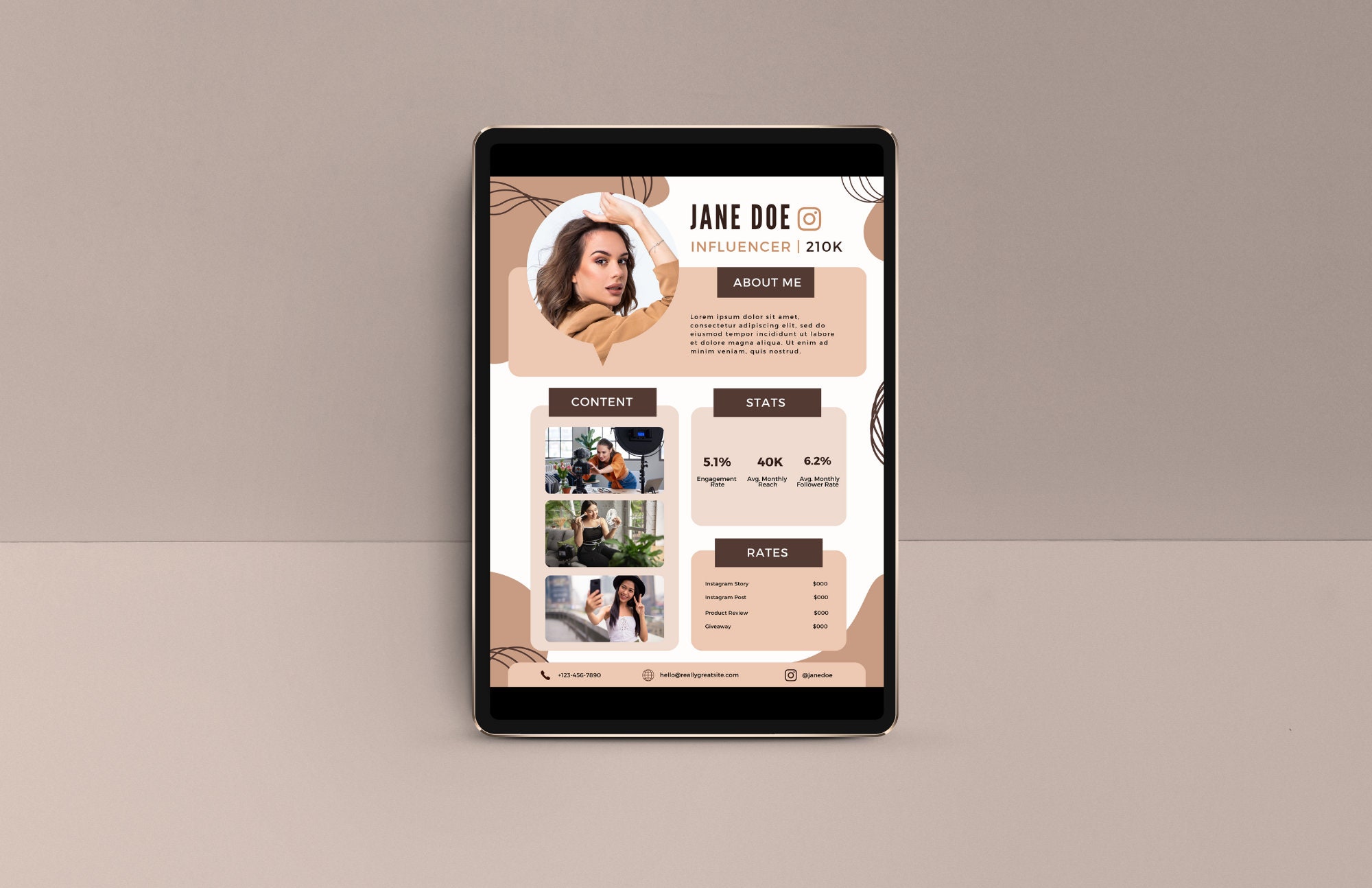 1 Page Media Kit Template, Influencer Stat Sheet, Canva Template ...