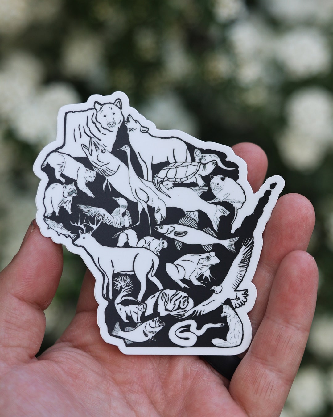 Wisconsin Wildlife Sticker - Etsy