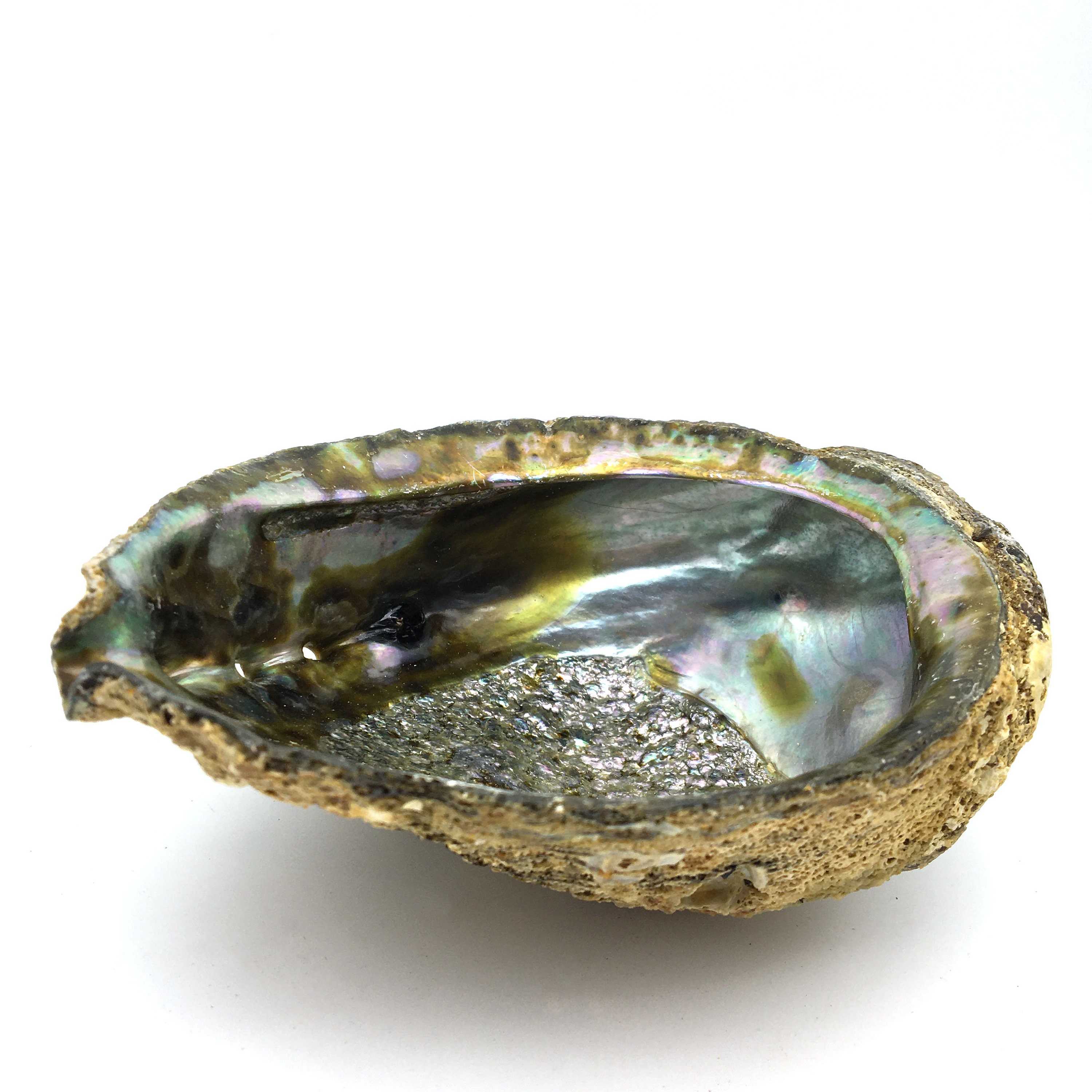 Abalone Sea Shell 100% Natural Smudging Burner Resin Sage or - Etsy