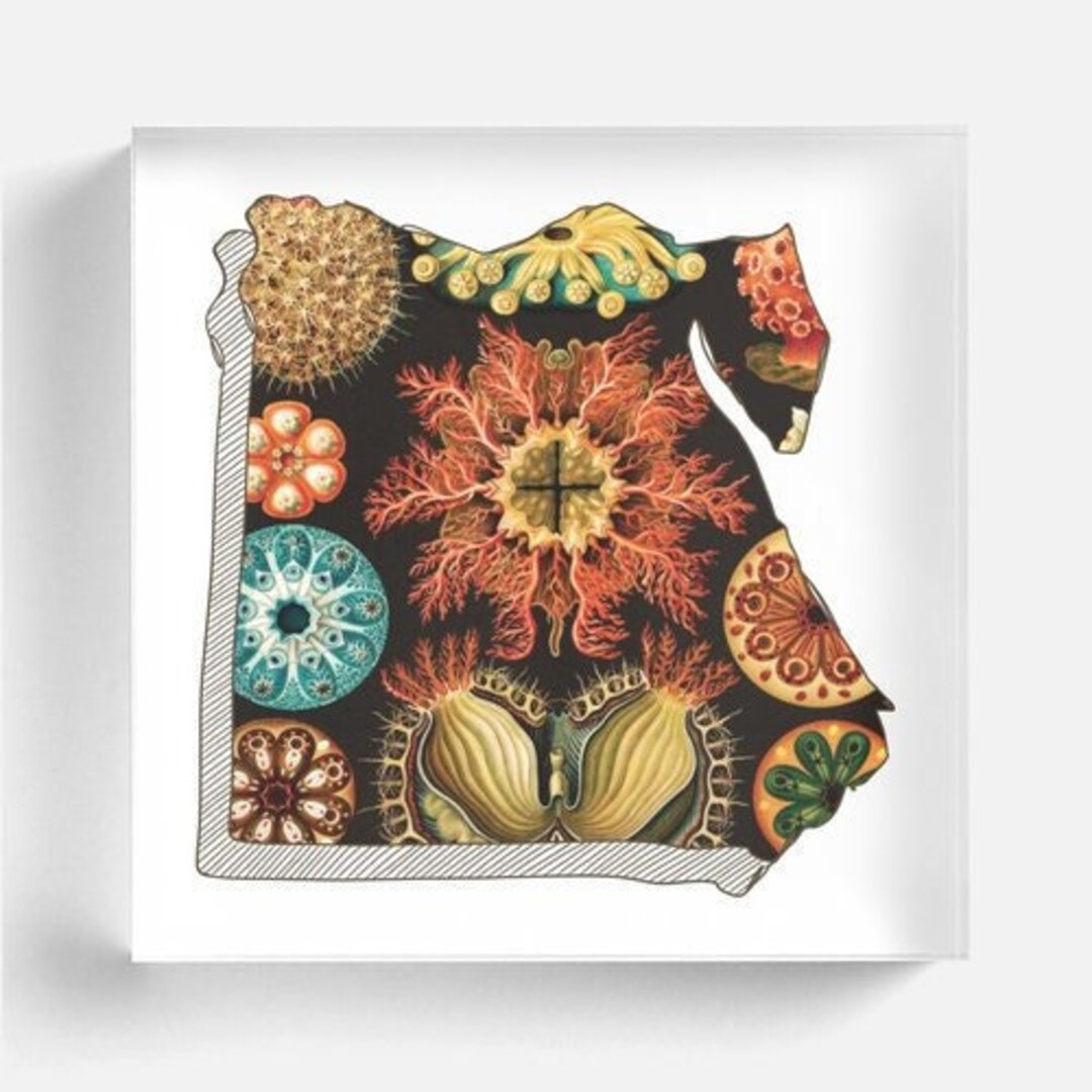 Egypt Red Sea Dive Map Collection - Etsy