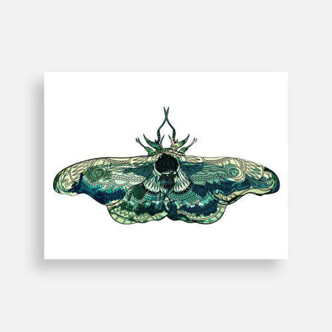 Van Gogh's Peacock Moth Collection - Etsy