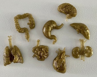 Body Parts Magnets - Etsy