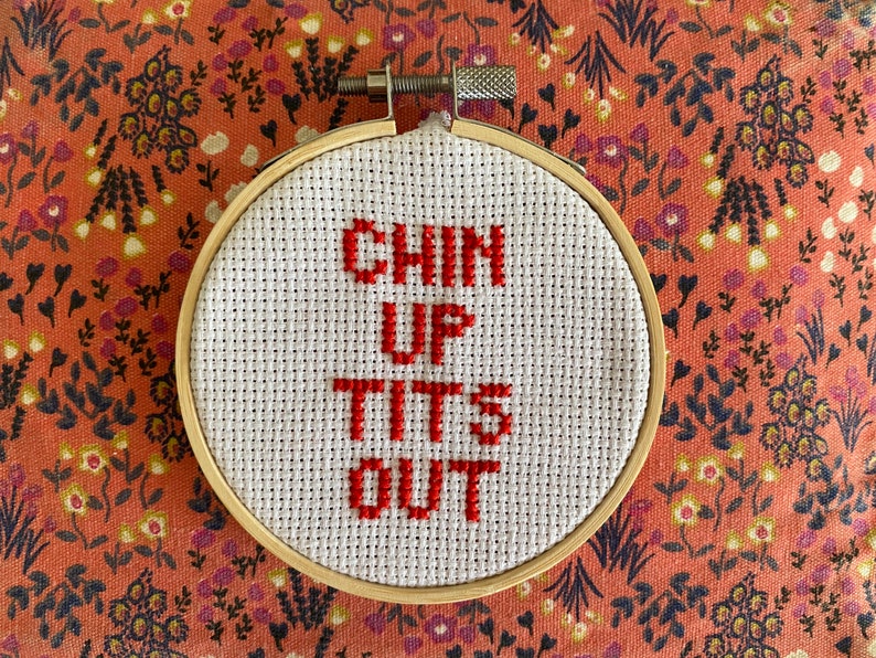 Cross Stitch. Small Wall Hanging. Chin up Tits Out. Friend - Etsy