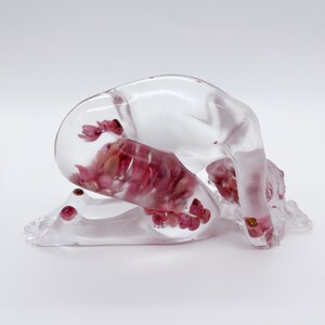 Pink Peppercorn Erin Goddess - Etsy