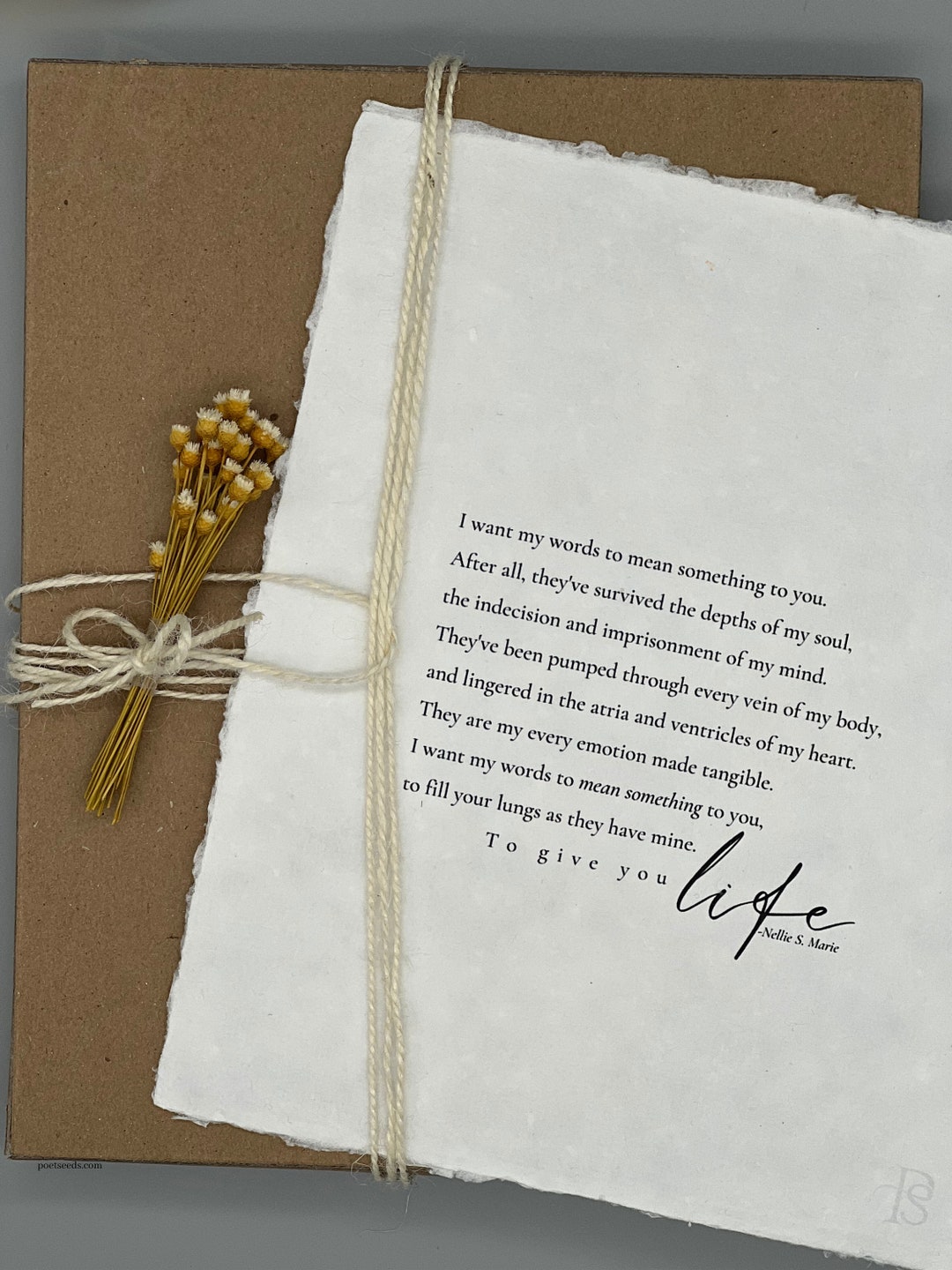 Poetry Gift for Aspiring Writers| Unique Room Decor for Author, Poet ...