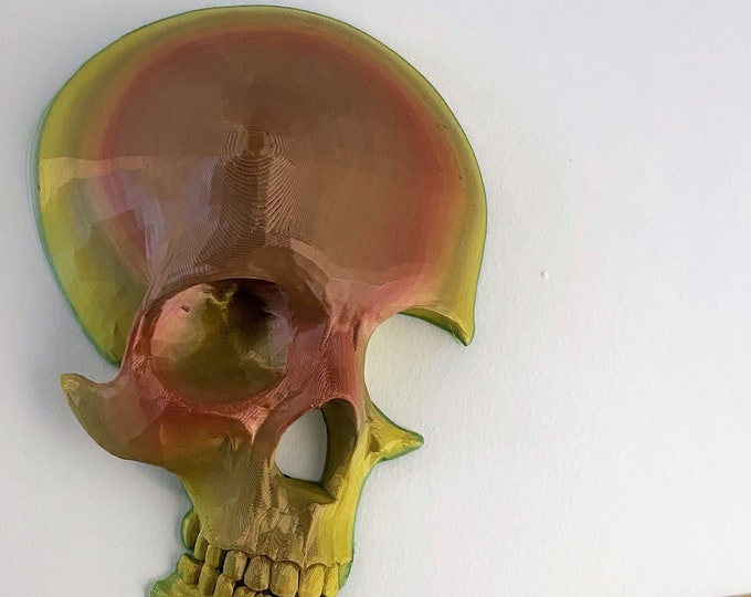 3D Printed Human Skull 2 Skull Set Rainbow 3D Wall Art - Etsy