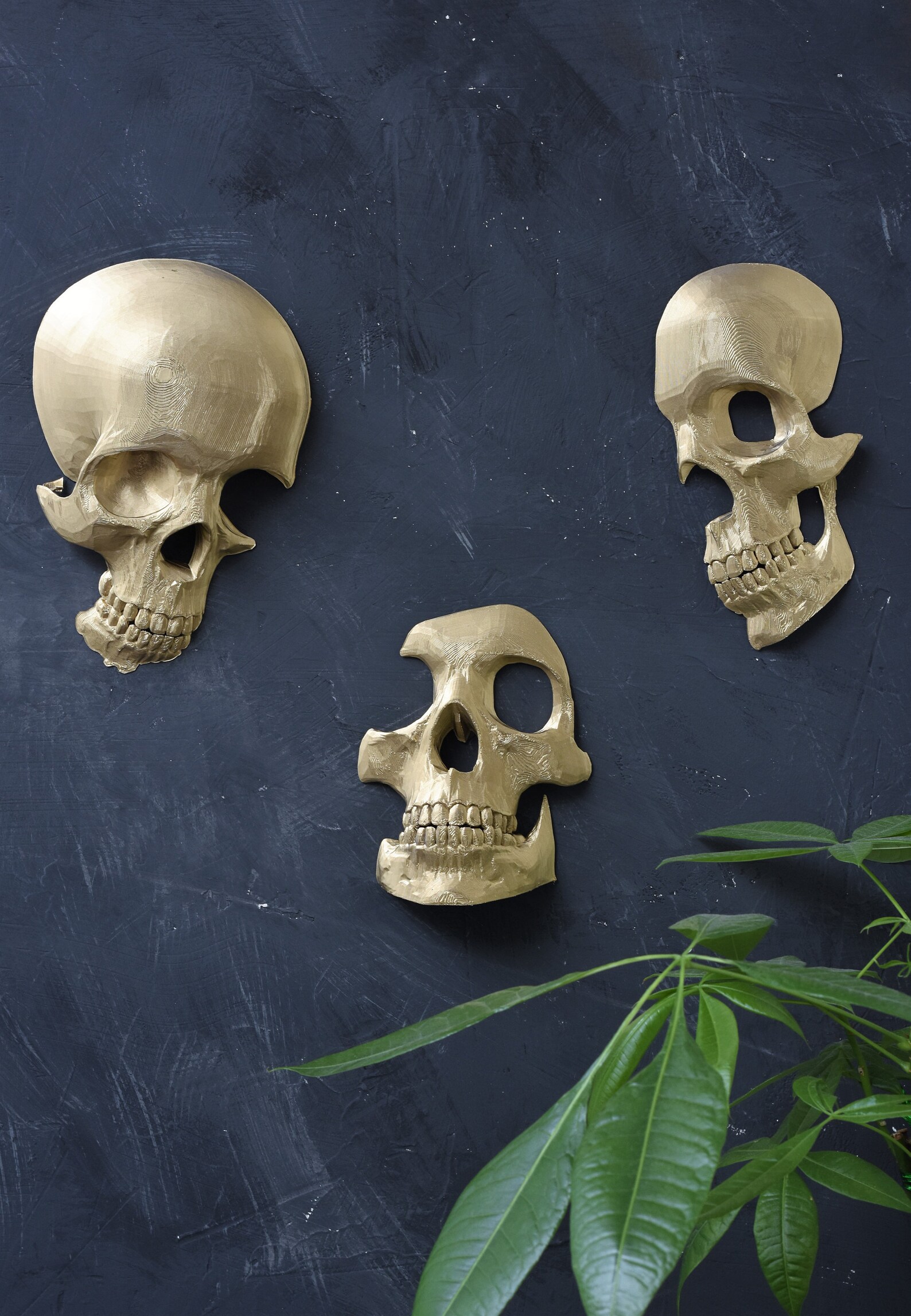 3D Printed Human Skull 3 Skull Set 3D Wall Art Décor | Etsy