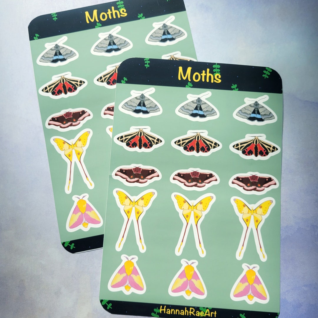 Moths Sticker Pack 8-count - Etsy