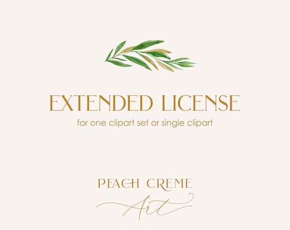 Extended License-for One Clipart Set or Single Clipart | Etsy