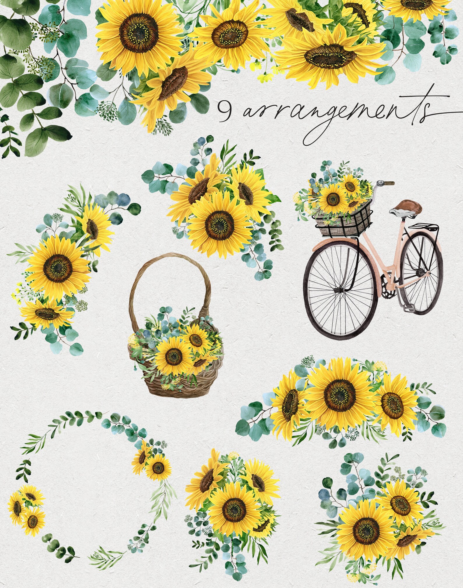 Sunflower Eucalyptus Greenery Eucalyptus Watercolor Foliage | Etsy