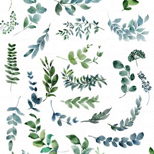 Watercolor Greenery, Herbs Watercolor, Foliage, Greenery Frames ...