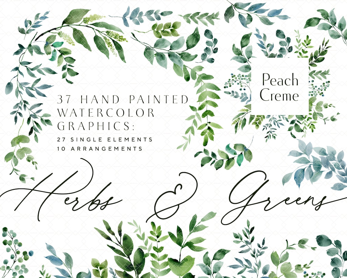 Watercolor Greenery Herbs Watercolor Foliage Greenery - Etsy