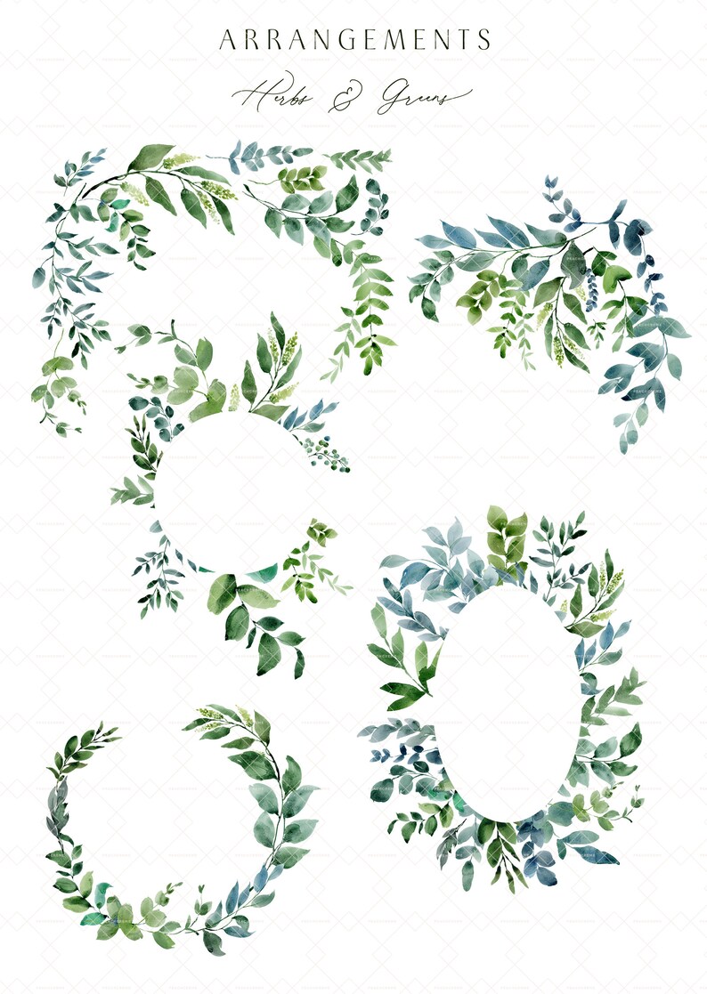 Watercolor Greenery Herbs Watercolor Foliage Greenery - Etsy