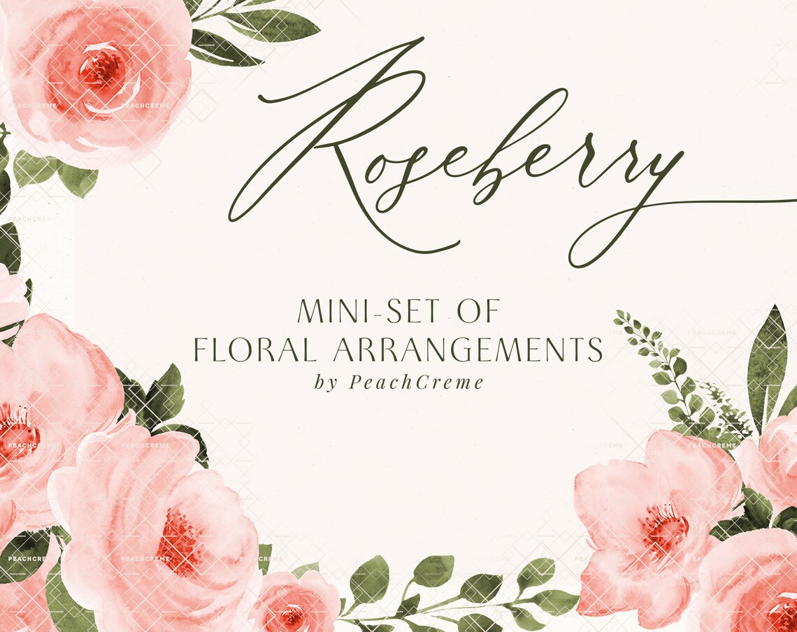 Roseberry Mini Set Watercolor Flower Arrangements Blush - Etsy