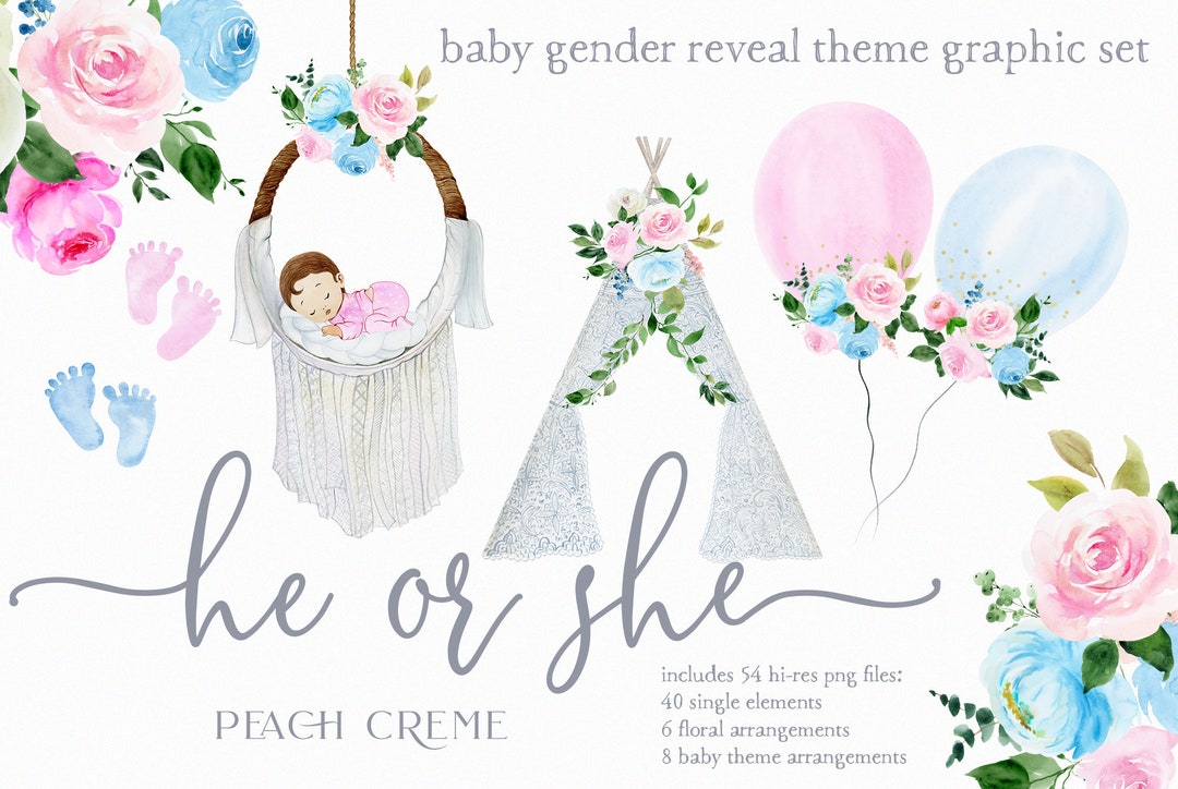 Watercolor Baby Shower Clipart, Baby Gender Clipart, Reveal Party ...