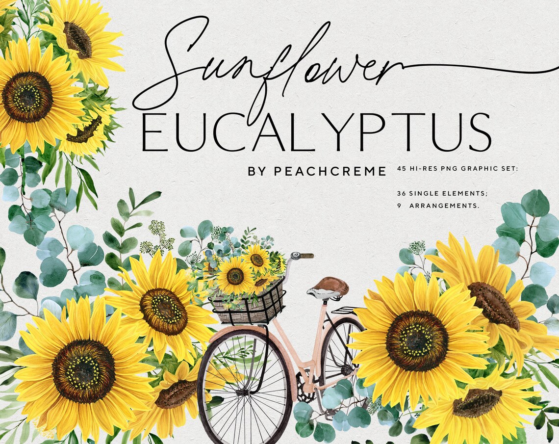 Sunflower Eucalyptus Greenery Eucalyptus Watercolor Foliage | Etsy