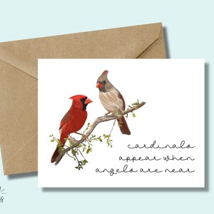 Cardinal Bird Sympathy Greeting Card, Thinking of You Card for Friend ...