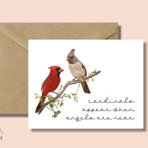Cardinal Bird Sympathy Greeting Card, Thinking of You Card for Friend ...