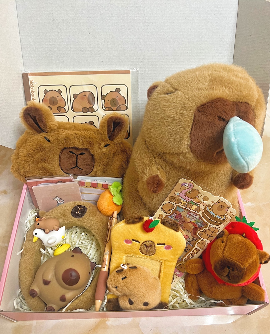 Capybara Gift Box of Capybara Themed Gifts of Capybara Stationary ...