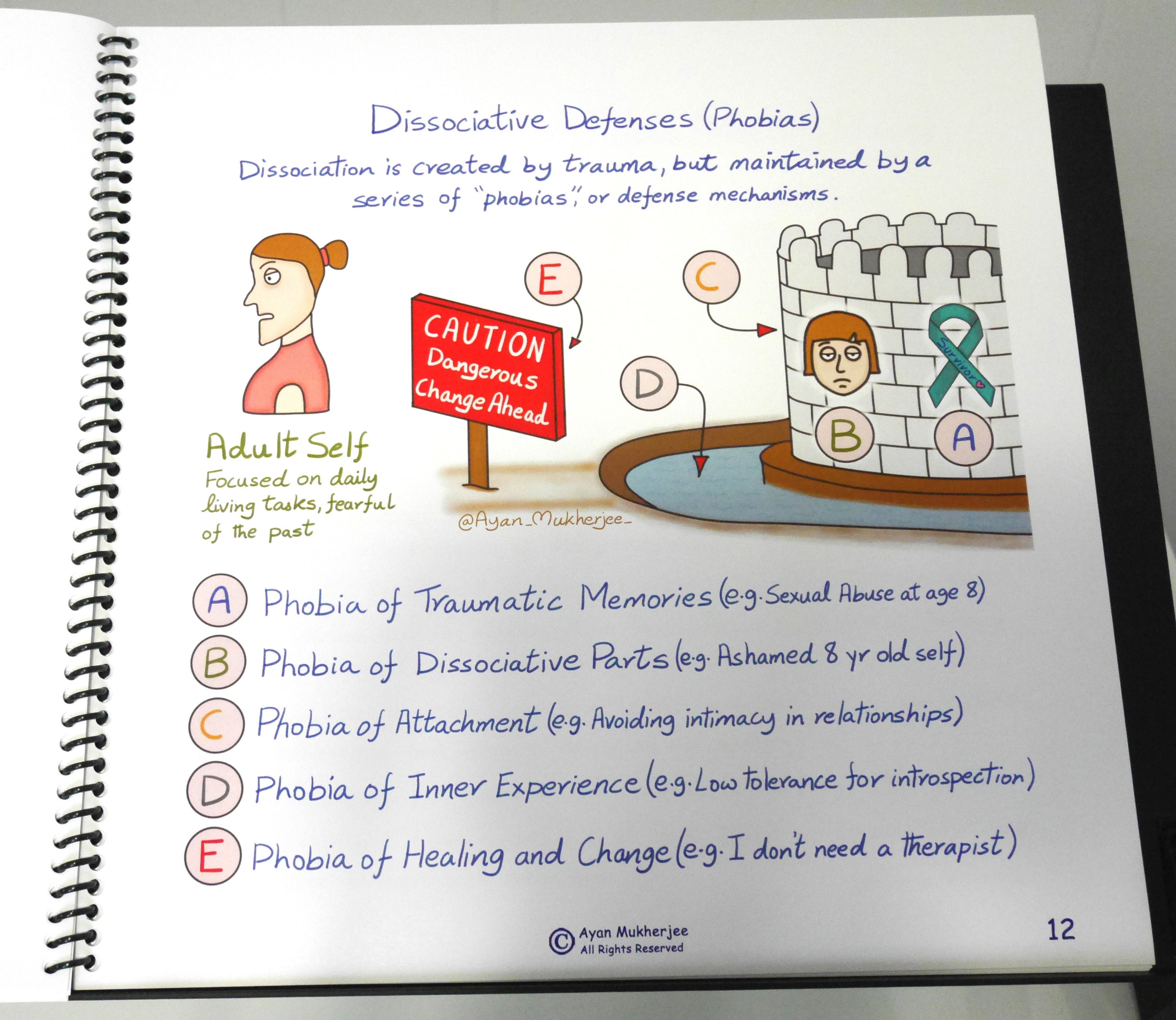 Visual Aids Flipbook for Attachment Trauma & Dissociation | Etsy