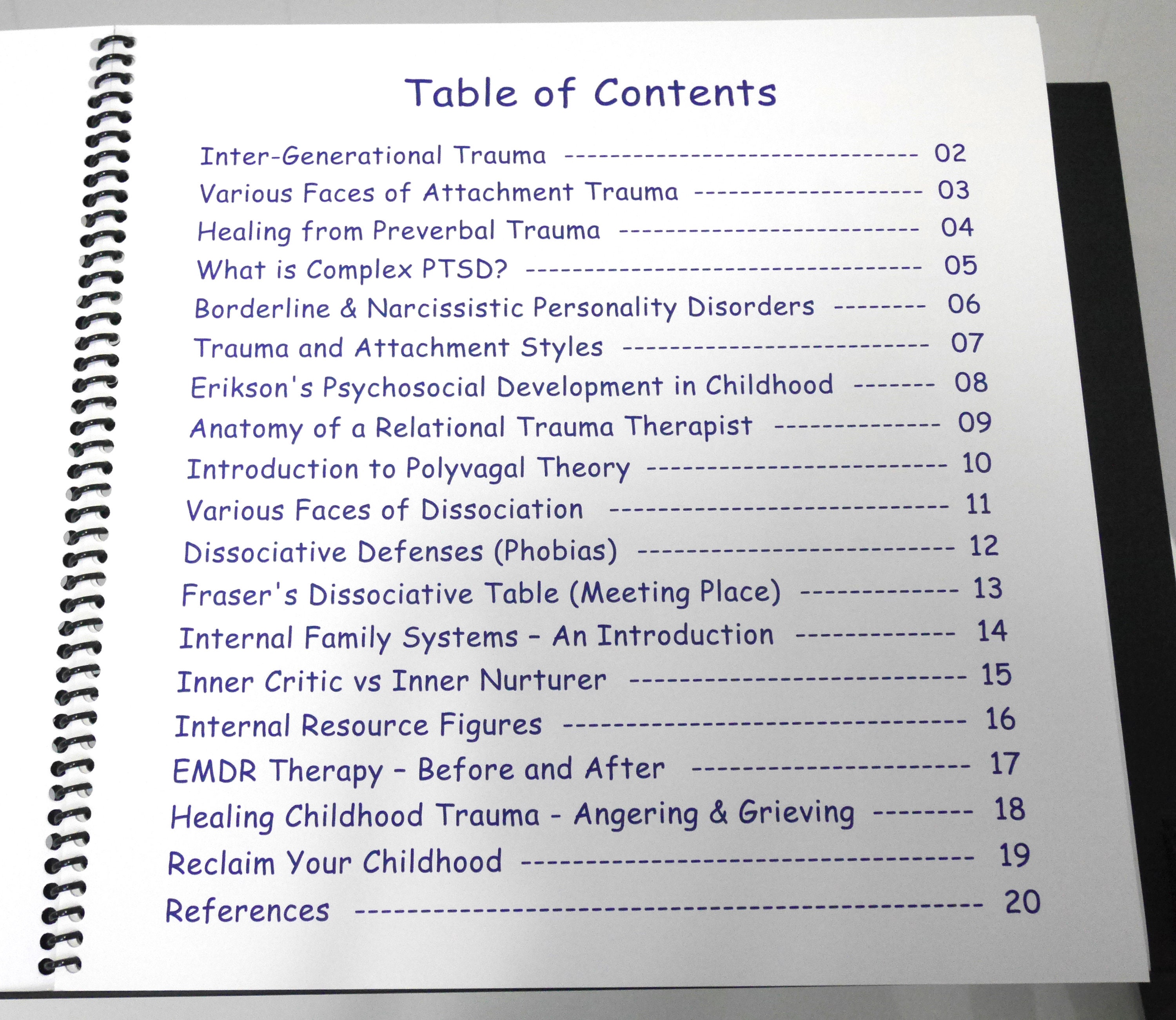 Visual Aids Flipbook for Attachment Trauma & Dissociation – Handmade ...
