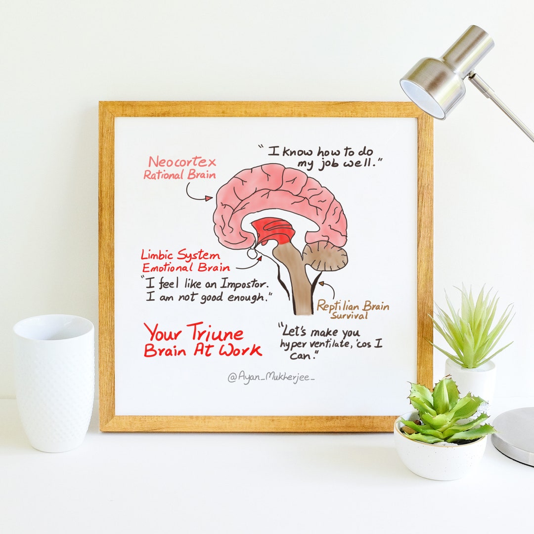 Your Triune Brain at Work - Instant High-resolution Download ...