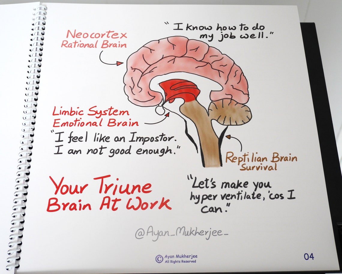 EMDR Therapy: Visual Aids Flipbook for Trauma & EMDR Therapy | Etsy